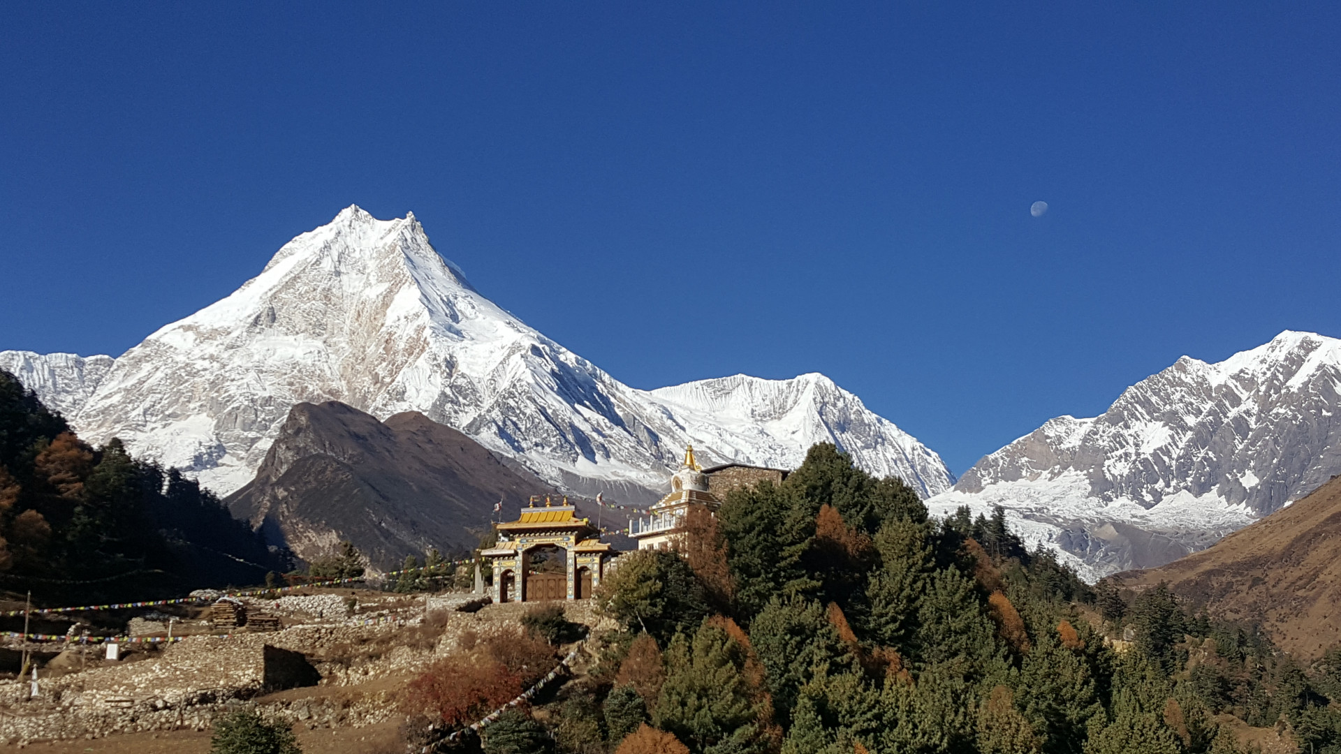 Manaslu Circuit Treks | The Summit Force